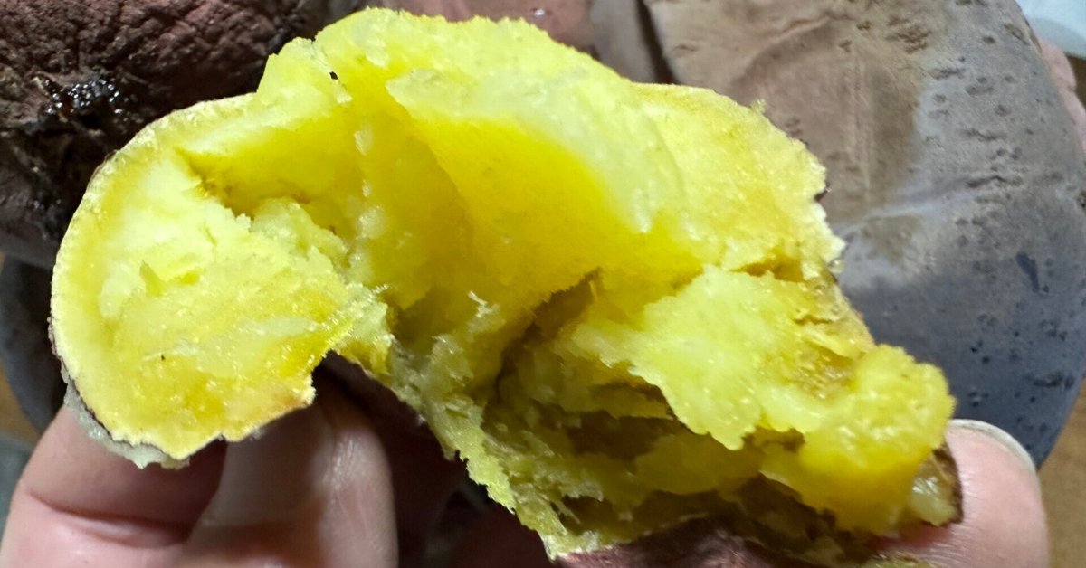 2023/11/19 お野菜み～つけた！ー壺焼き芋の焼き方を考える(1)｜NicePapa 平野 尚志