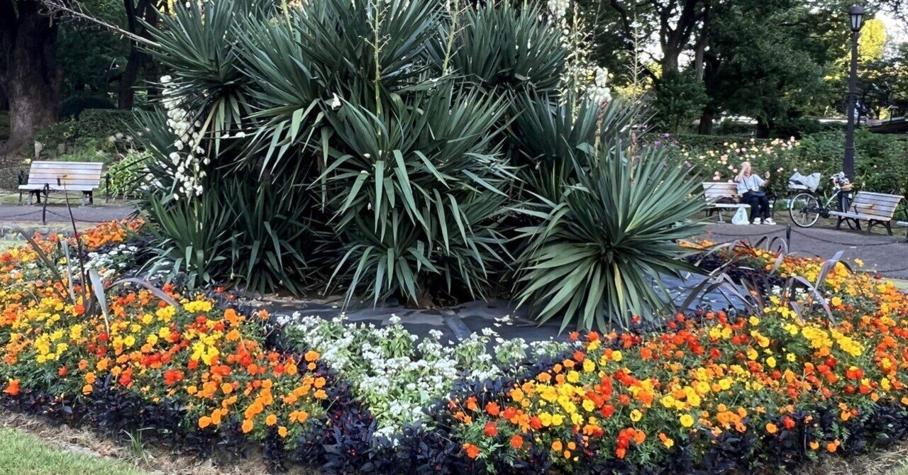 「経済大国」から『幸福大国』へ ️｜daishiro_okada