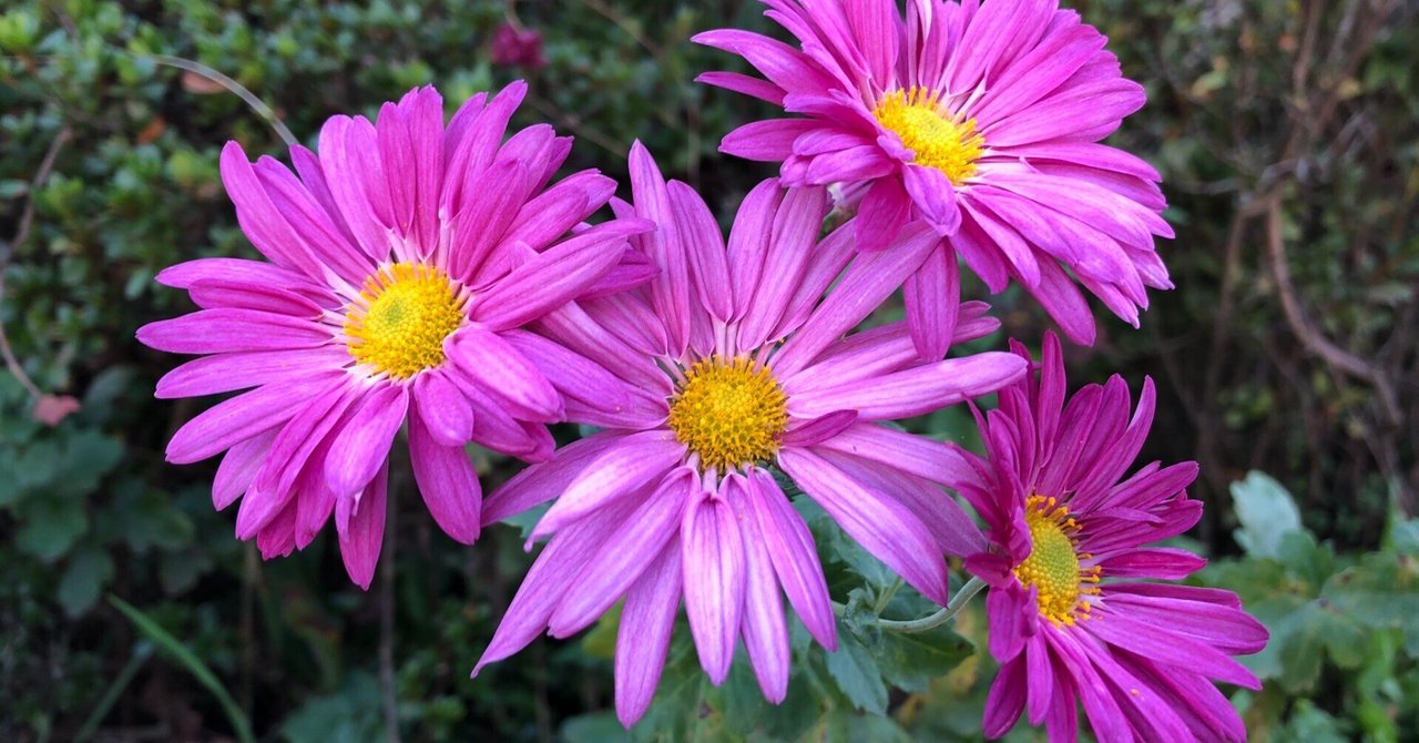 ふと・・・思う｜poporin