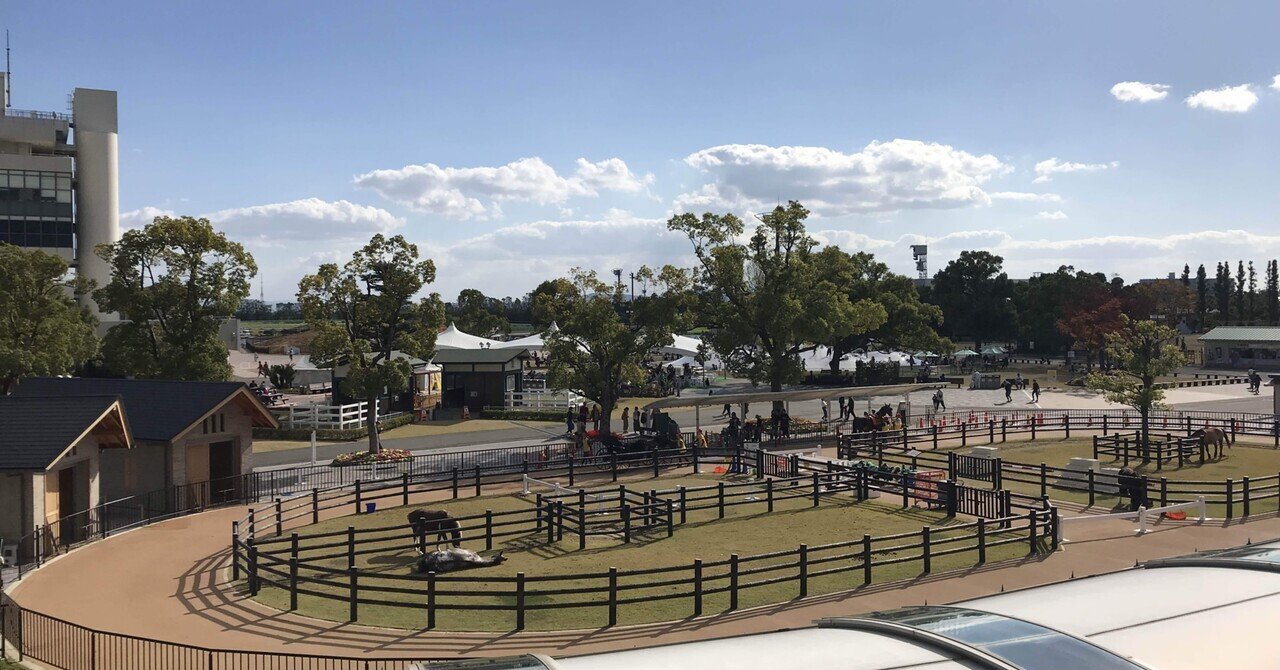 🐎淀競馬場｜yu_ki