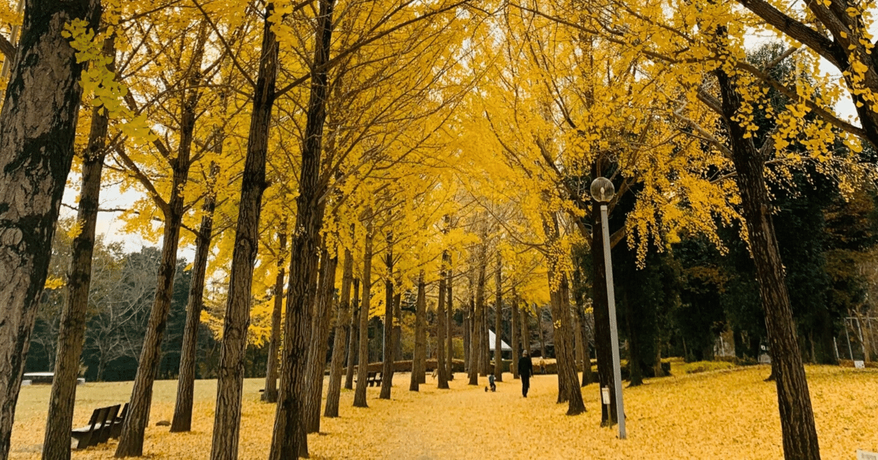 【詩】絵の中｜hanauta