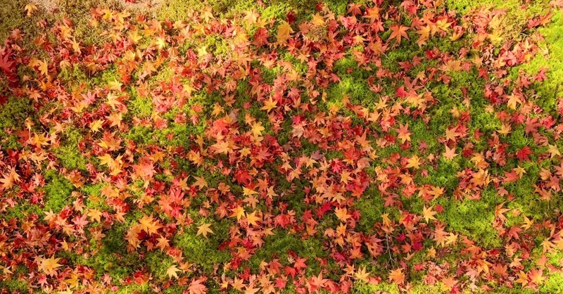 masue_kousuke｜note