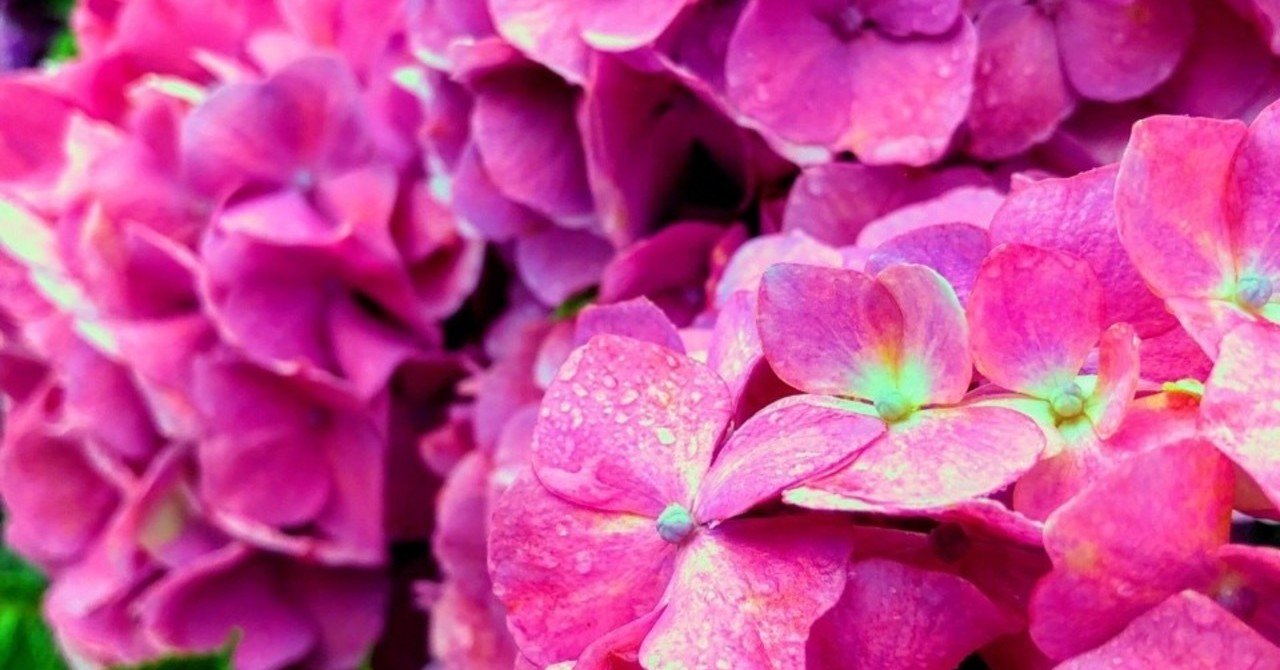 軽campが軽くjampさせる旅の可能性｜Satorock｜note