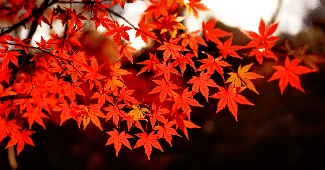 それなりに｜rikua ️