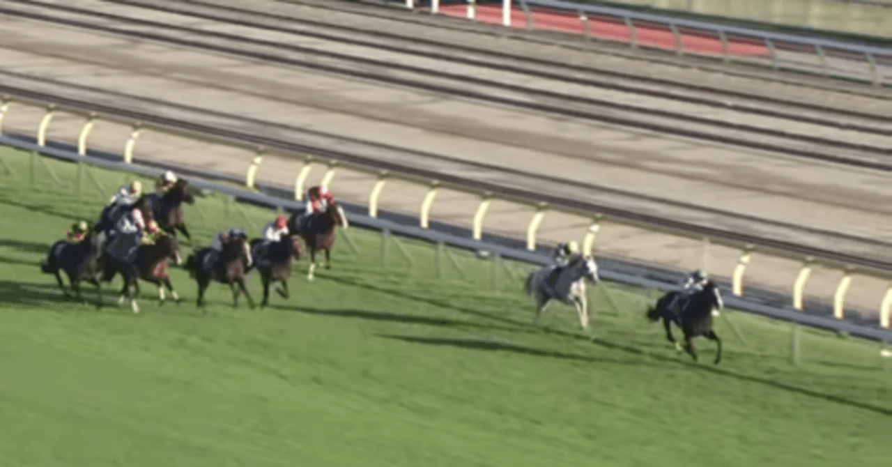 ジャパンカップ No.1｜shige