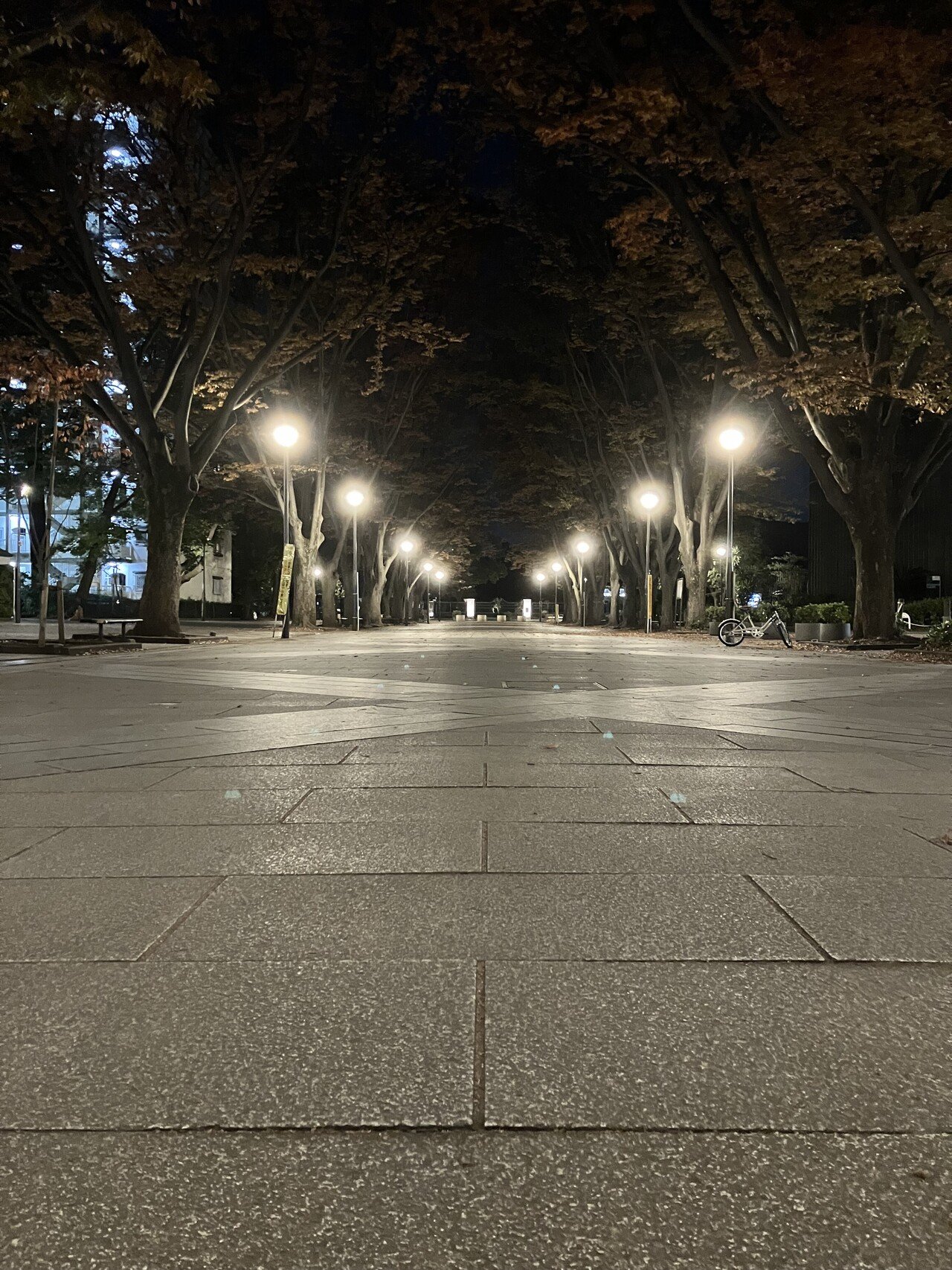 経済的自立を目指して夜の公園を走るオサーン。1.6kmを7分以内で走るのを5本行きたかったけど、3本でギブ。2週間後のリレーマラソンで4人がかりでサブ3目指すにはもう少し頑張らねば。ってか ...
