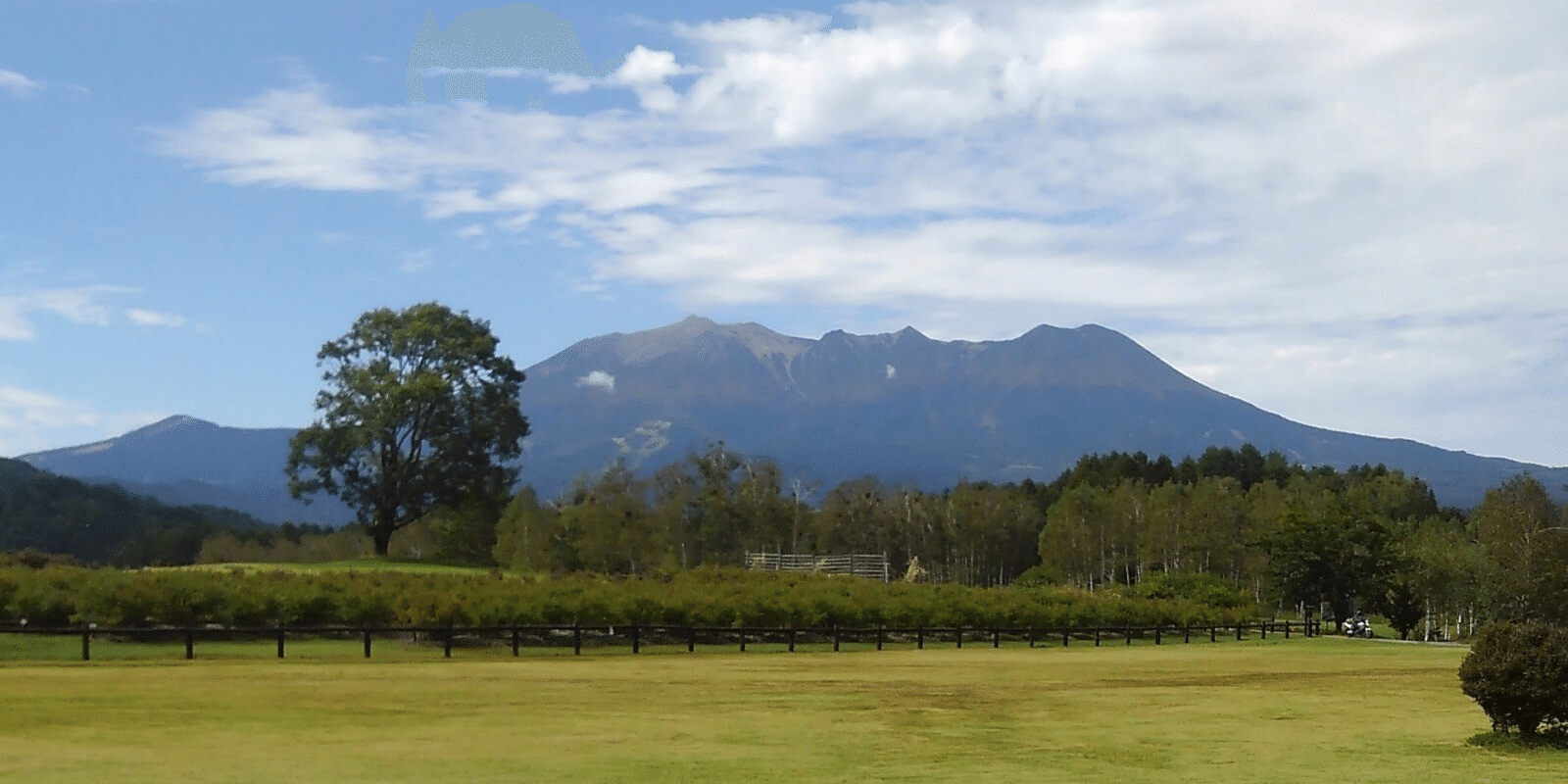 もも（momo）｜note