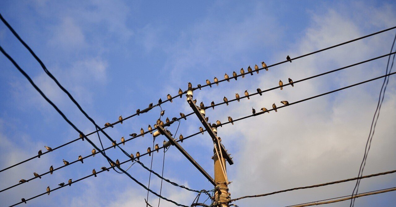 通院 28-70mmF2.8DG DN｜まさまる