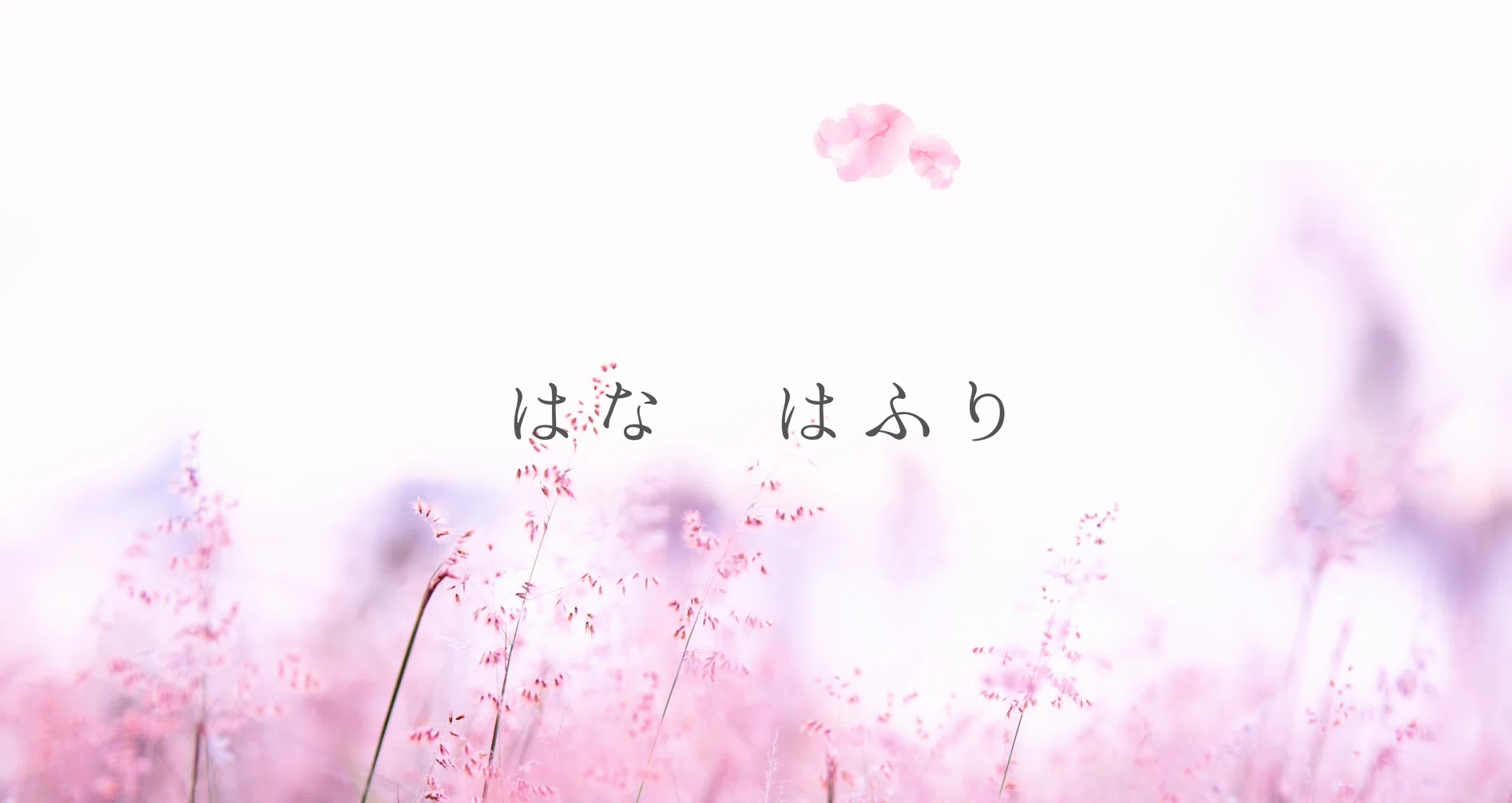 hana.hafuri｜note