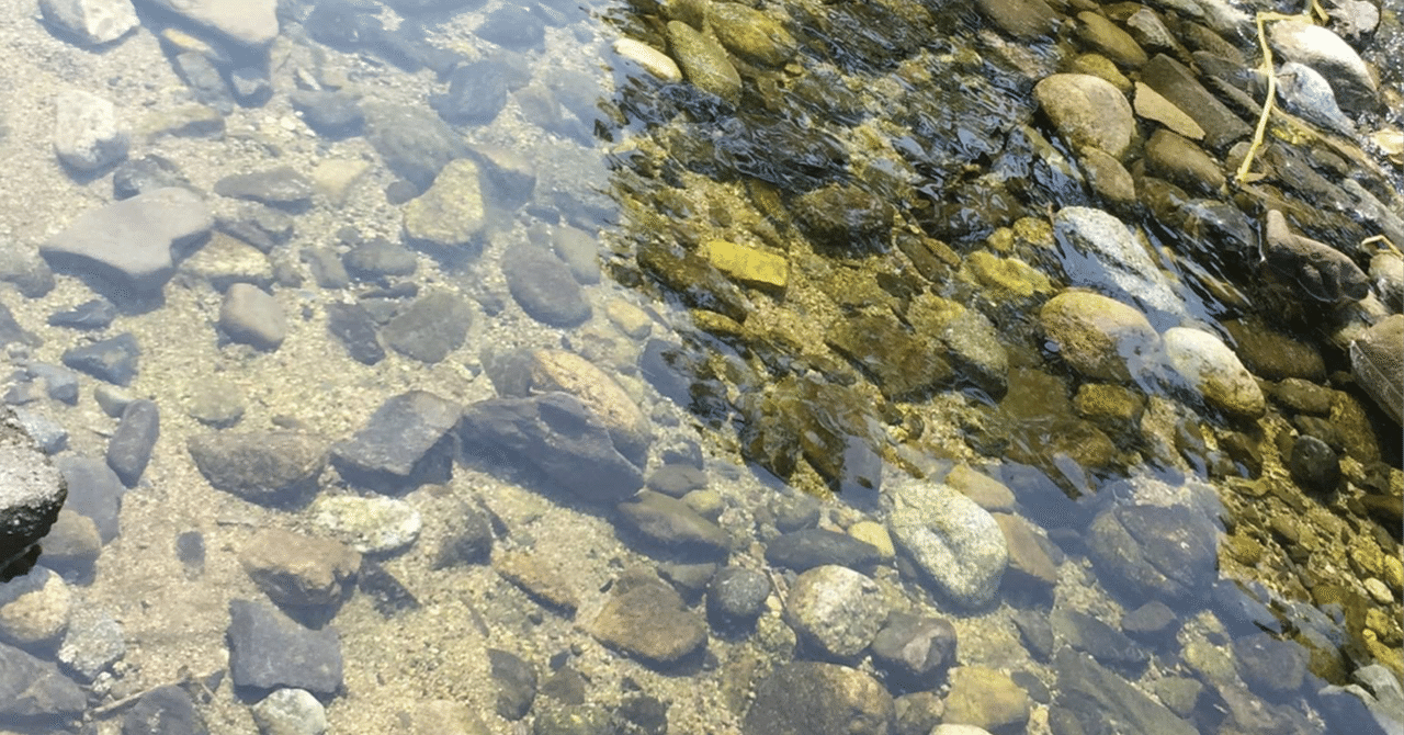 サウナの湯気＠エストニア｜KY研究所@CoderDojo横浜港北ニュータウンやってます