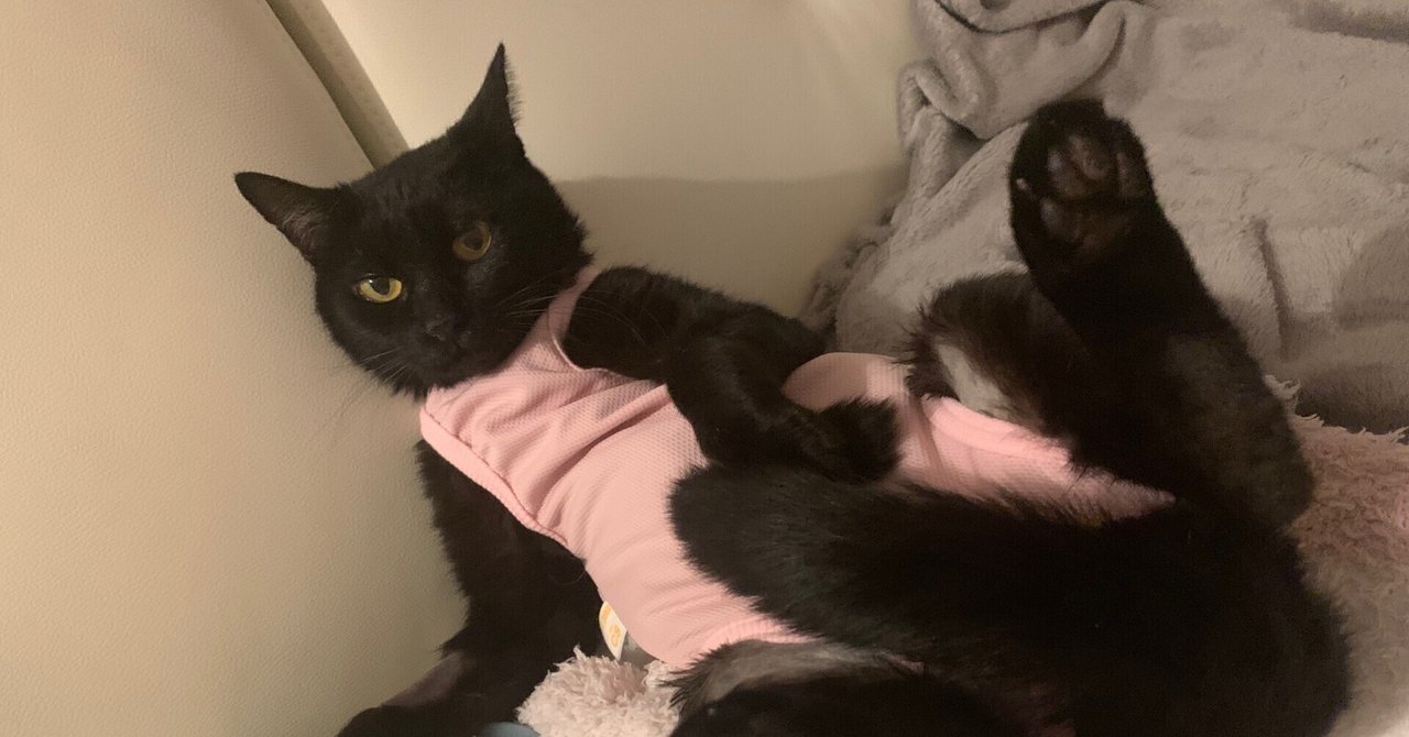 確実に賢くなるため，合格するための勉強法｜田中健一／Study Navigator