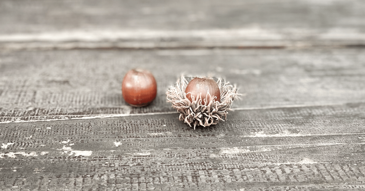 11月23日 #1266｜unico