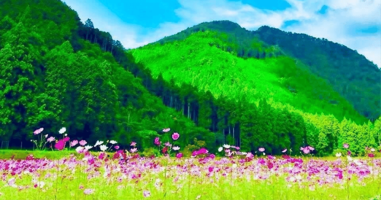 『里恋詩くて・・・熊野・高野』紀伊を愛した怒涛詩人さとちゃんを忘れない【353】｜ichiro70