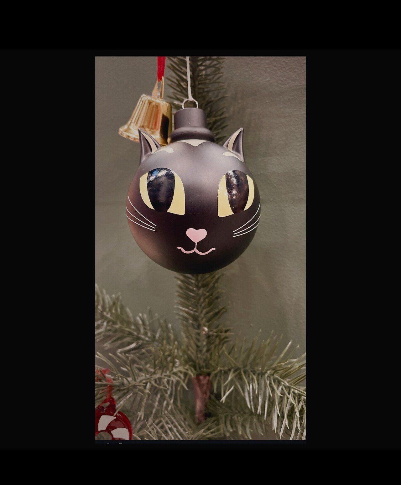 裕木奈江 Nae Yuuki｜note