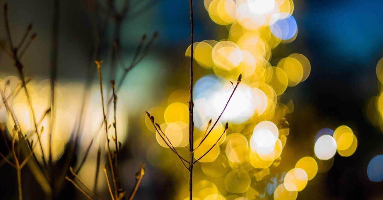 2023年振り返り｜Riho