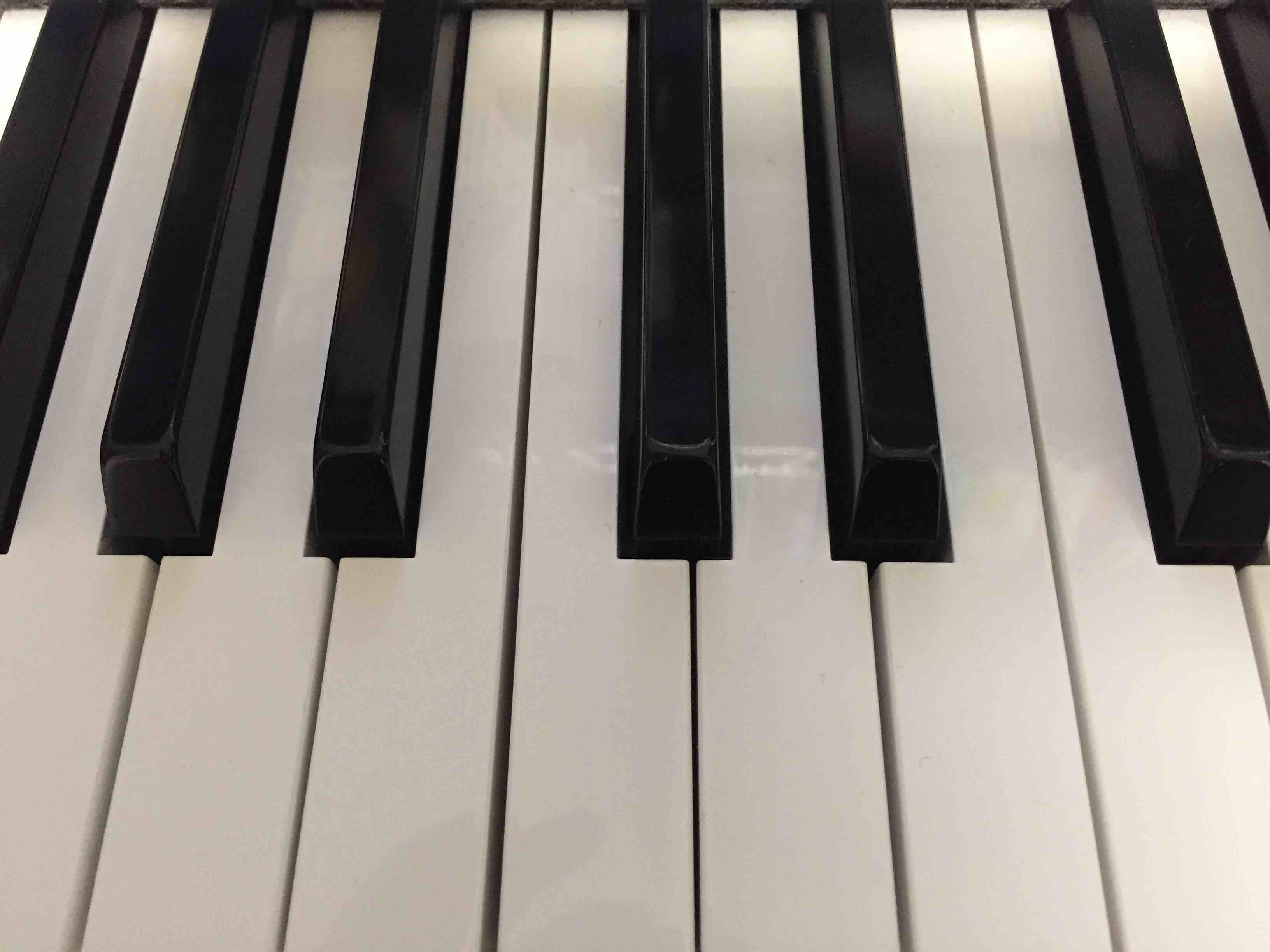 Doremisora 190611｜ワキマル・ジュンイチ（Junichi Wakimaru）