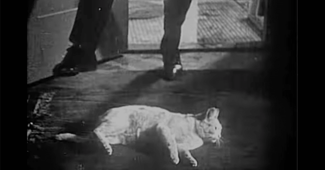 Diary_11242023｜Koji Shibuya