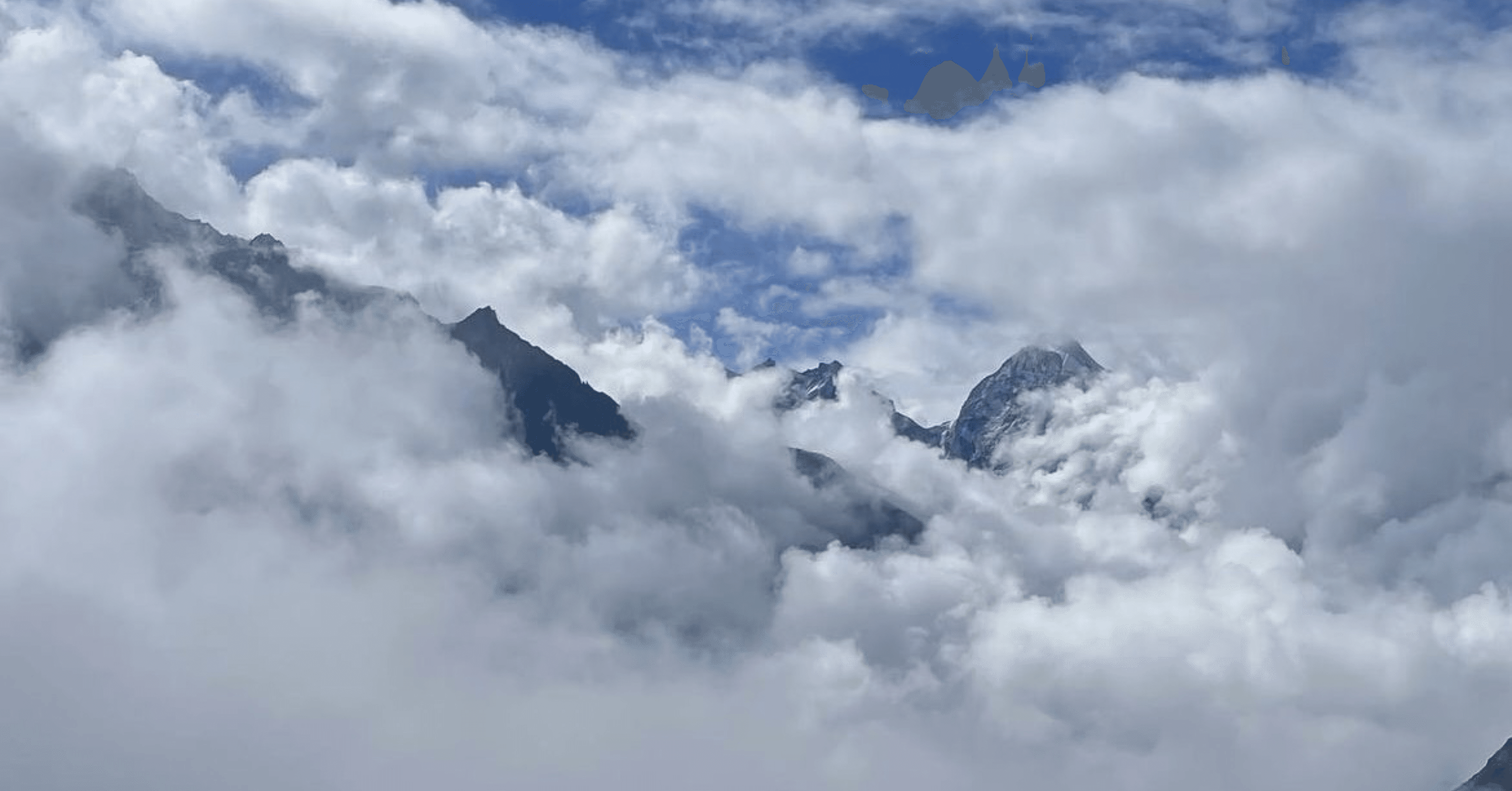 Toshiki Suzuki | 🧬new genes｜note