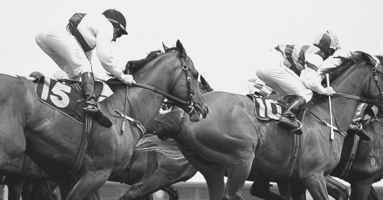 🍀11/25(土)🐴【JRAダート競馬予想】｜🍀クローバーHR🐴【JRAダート競馬予想】