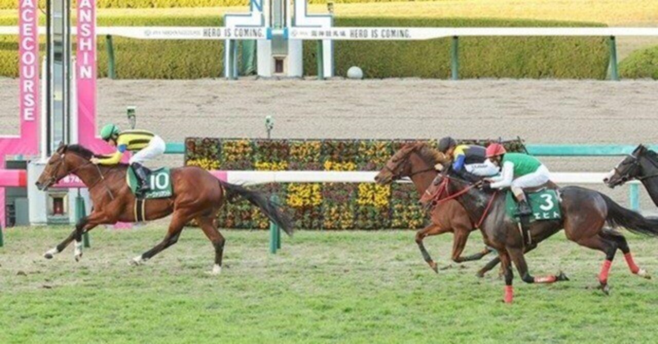 【2023 チャレンジカップ（G3）】日刊馬番コンピ指数分析予想篇｜Haya