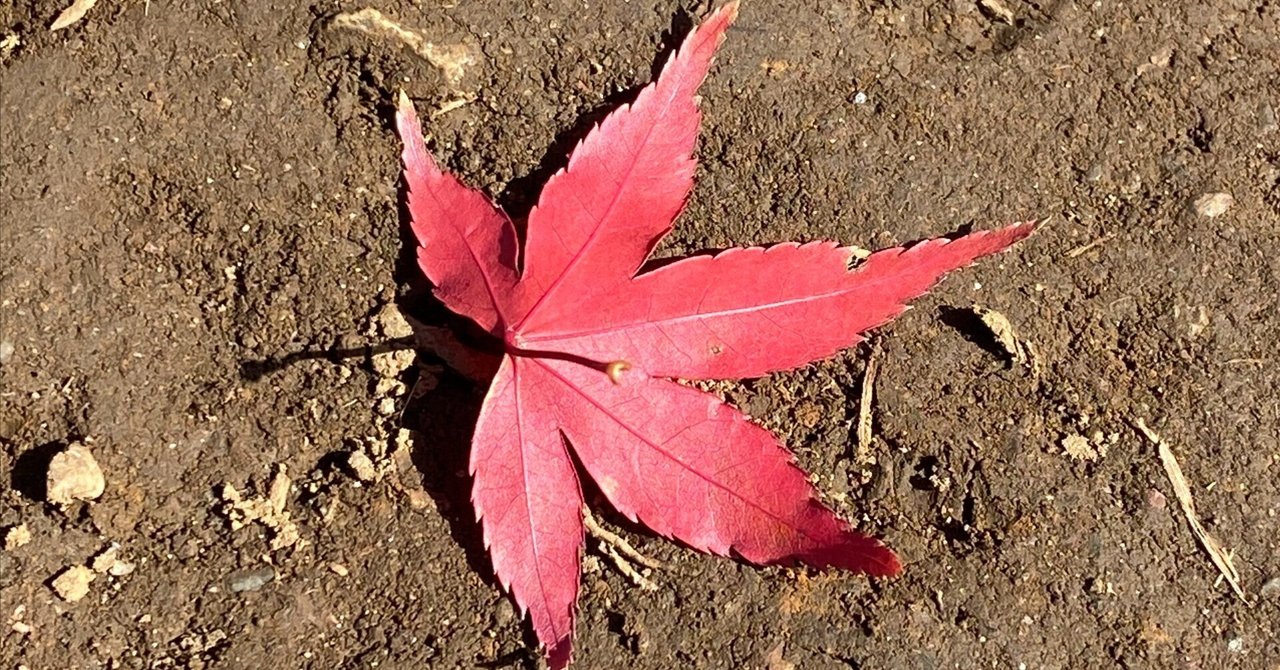 今週のふりかえりとABF｜Mart Takeuchi｜元WEBライター・IT事業者、田舎暮らし満喫中！【毎日note更新】