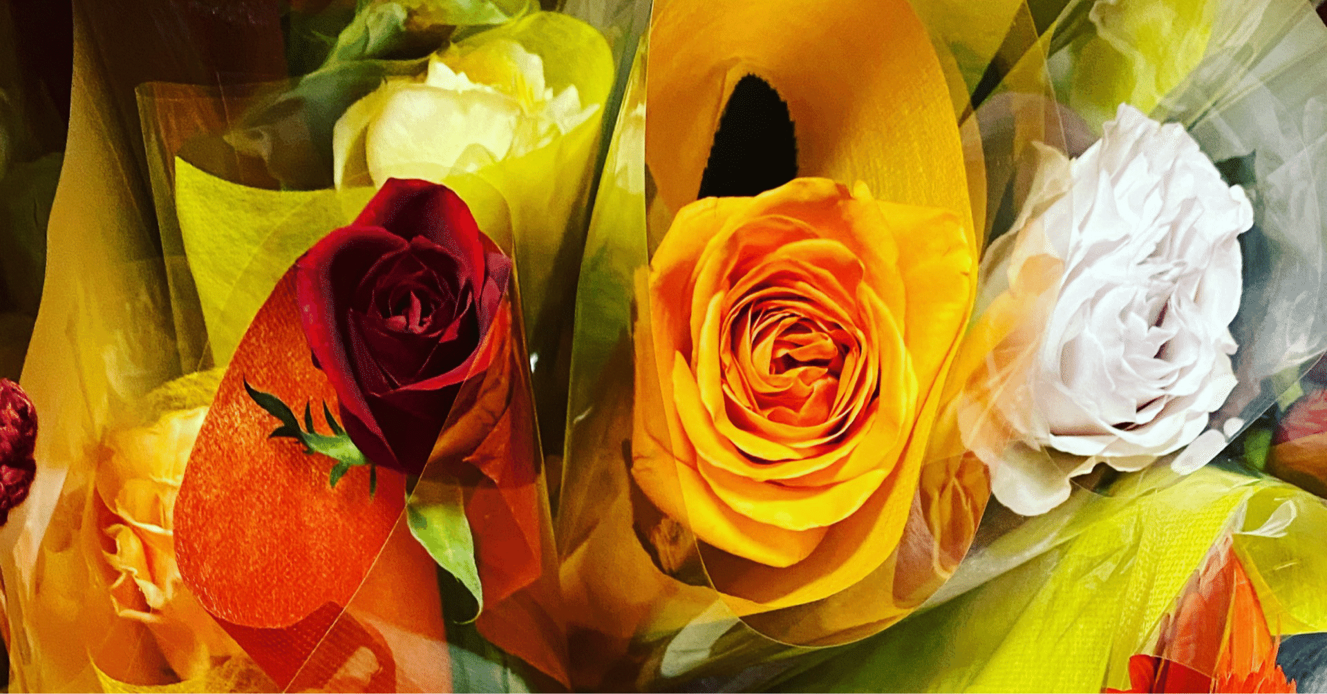 Kakeda Yutaro｜note