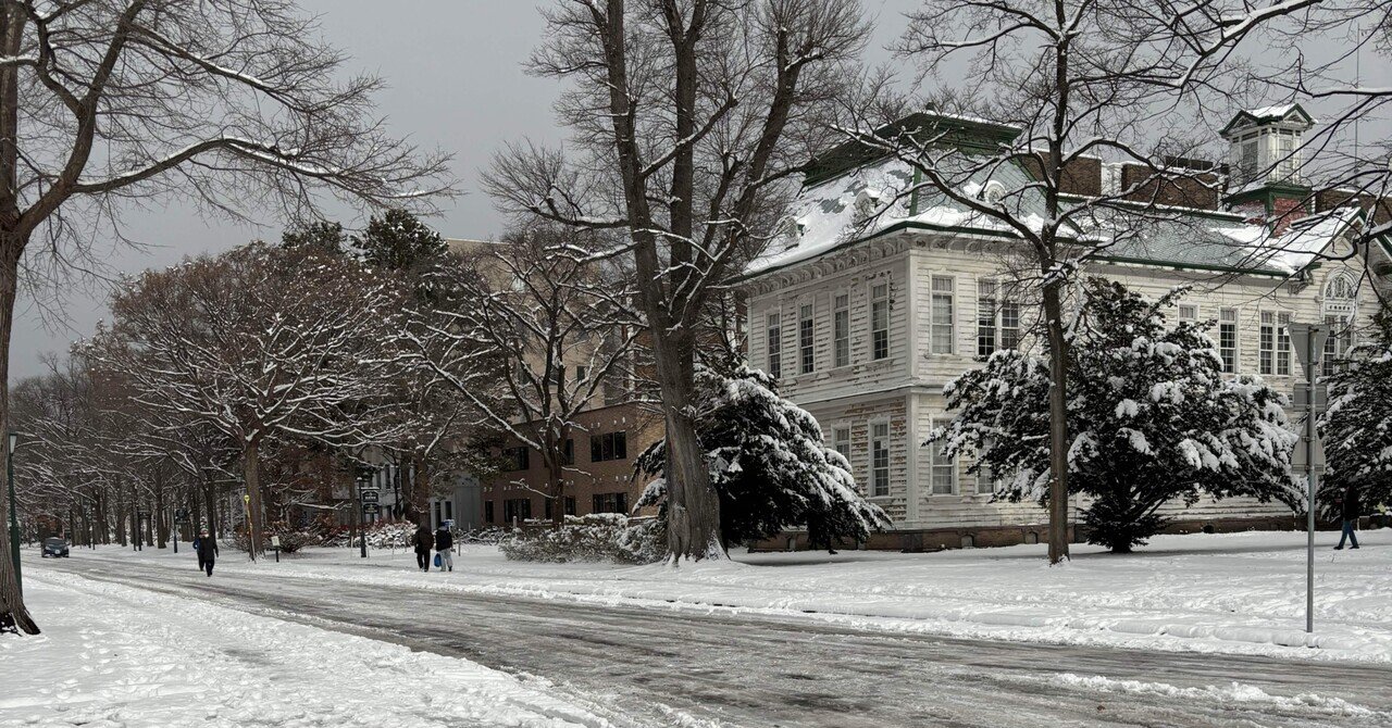 冬の先兵｜COCORO