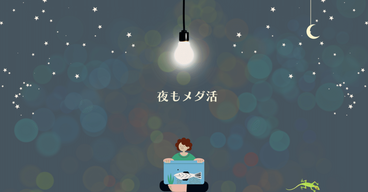 夜もメダ活｜MKD.023