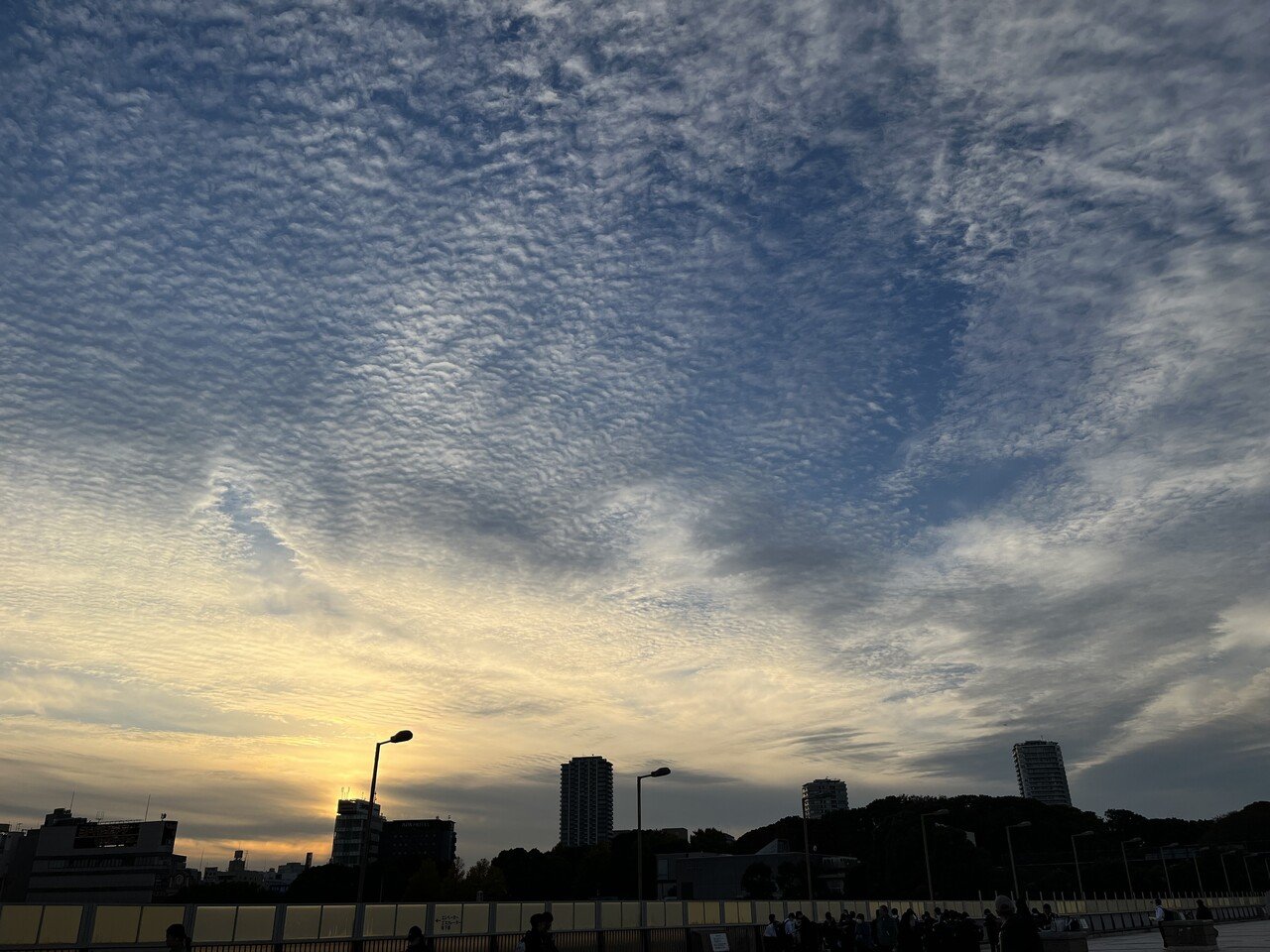 Ryosuke Matsusima｜note