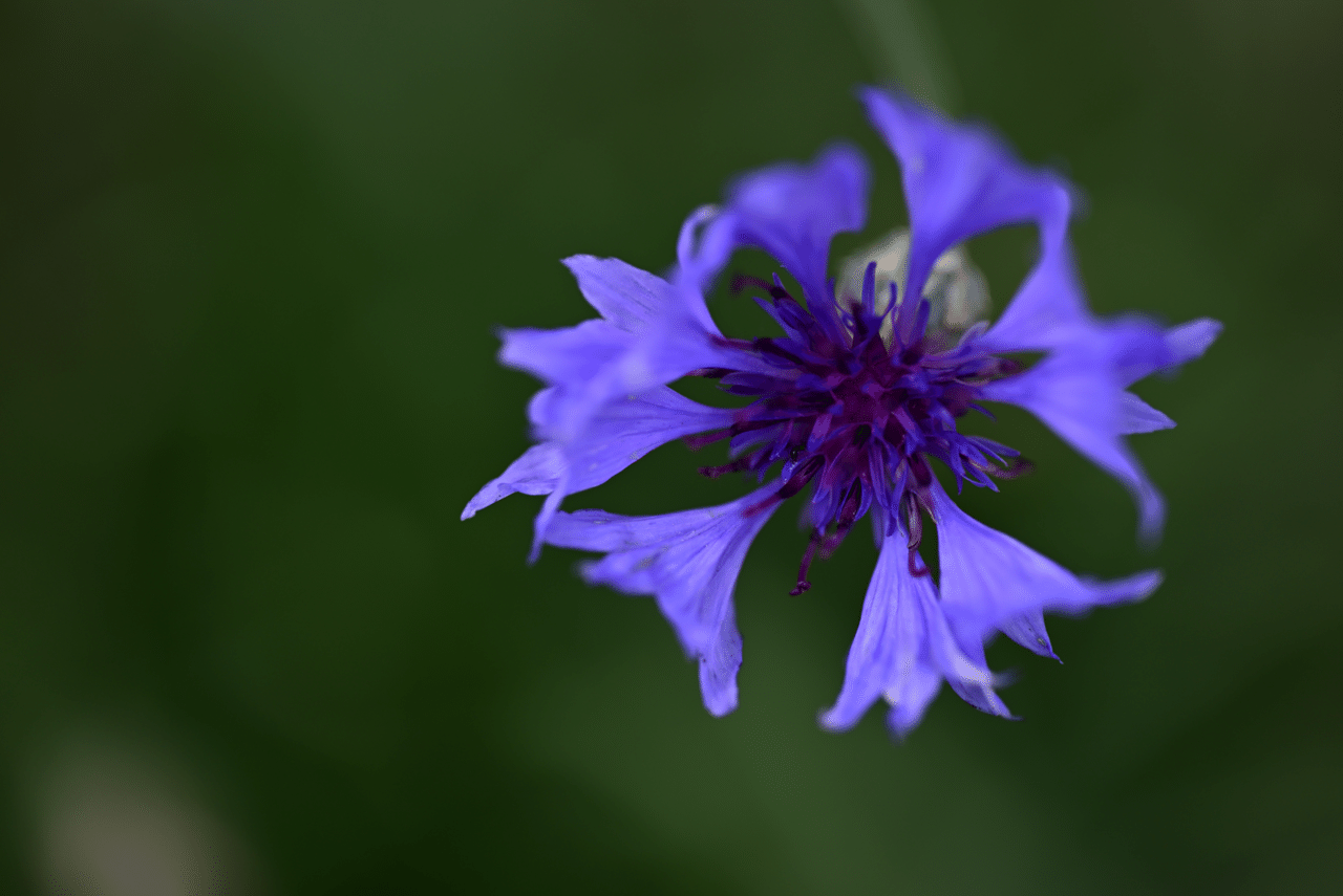 寒い、寒い。｜Shinichi Sendagi