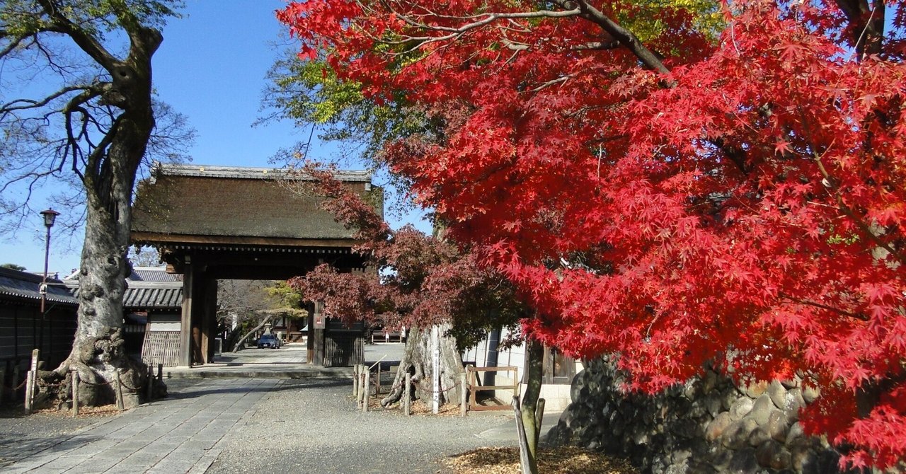 曼陀羅寺紅葉探し｜HRSD-note