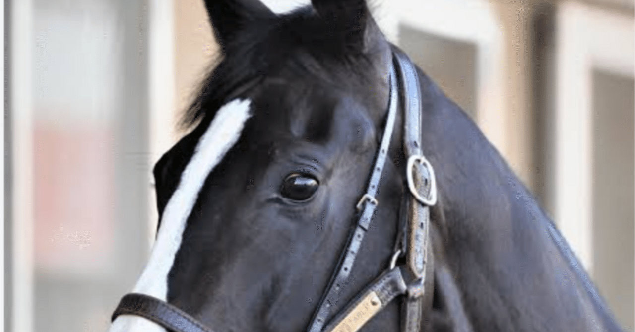 #20番…青鹿毛の牡馬｜サム★O.J.K★黄色の馬@Somethingroyal（note）