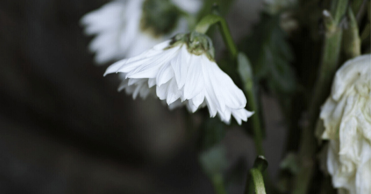 二つの出会い｜sora_369