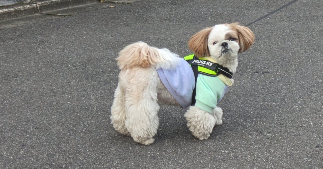 一枚の画像〜ほっこり｜ichiro70