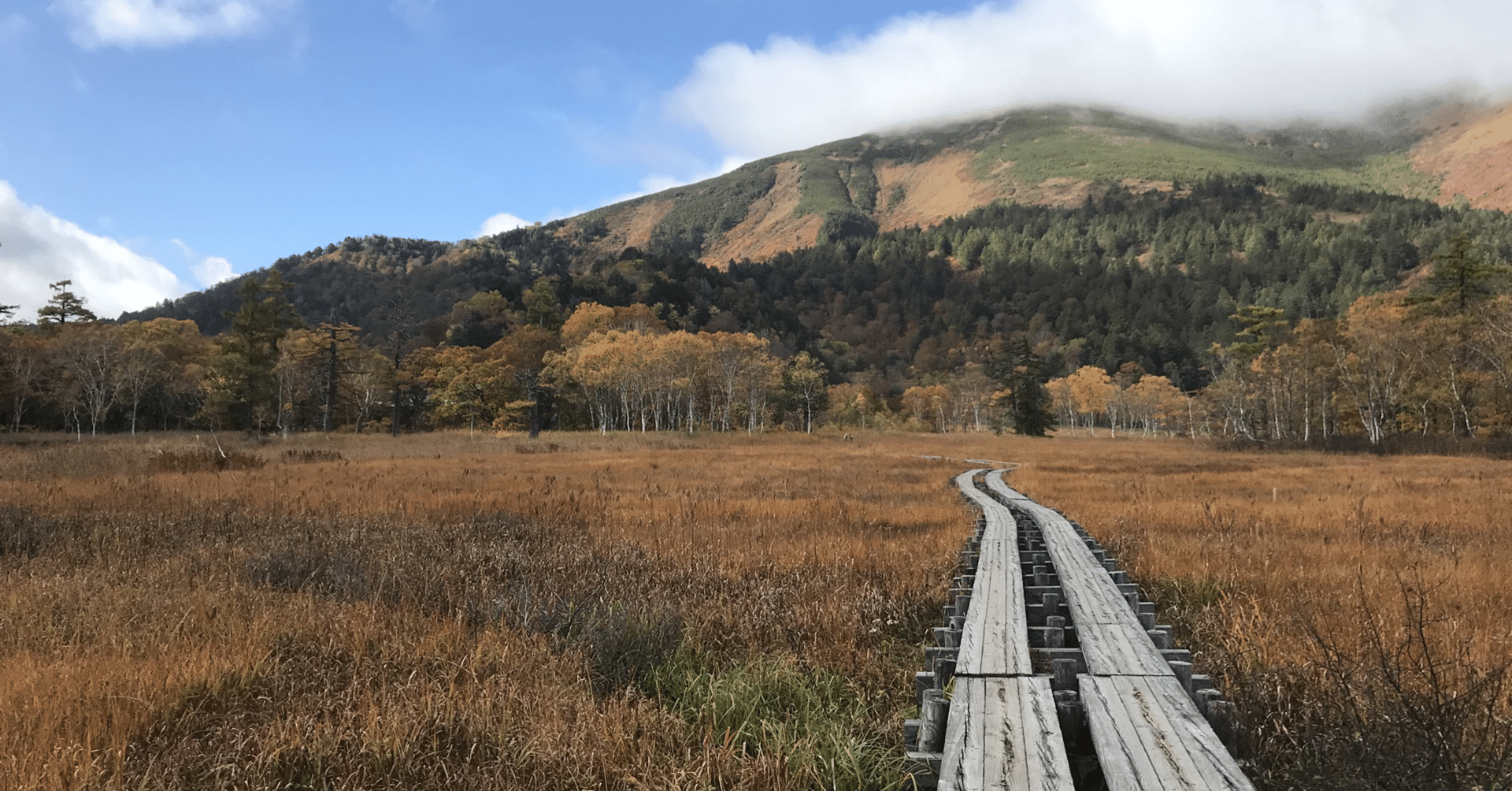 いが / S.Igarashi｜note