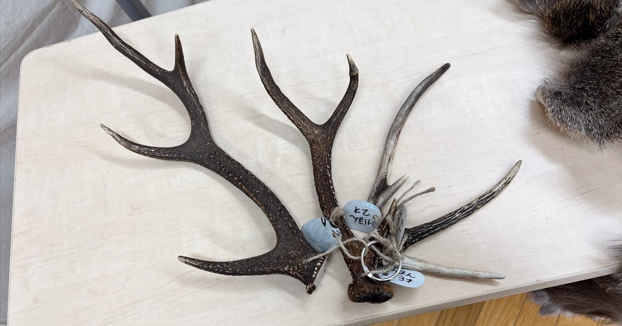 サステナブルなモノづくり 鹿とジビエレザーのこと｜革工房 CraftLab.Rin