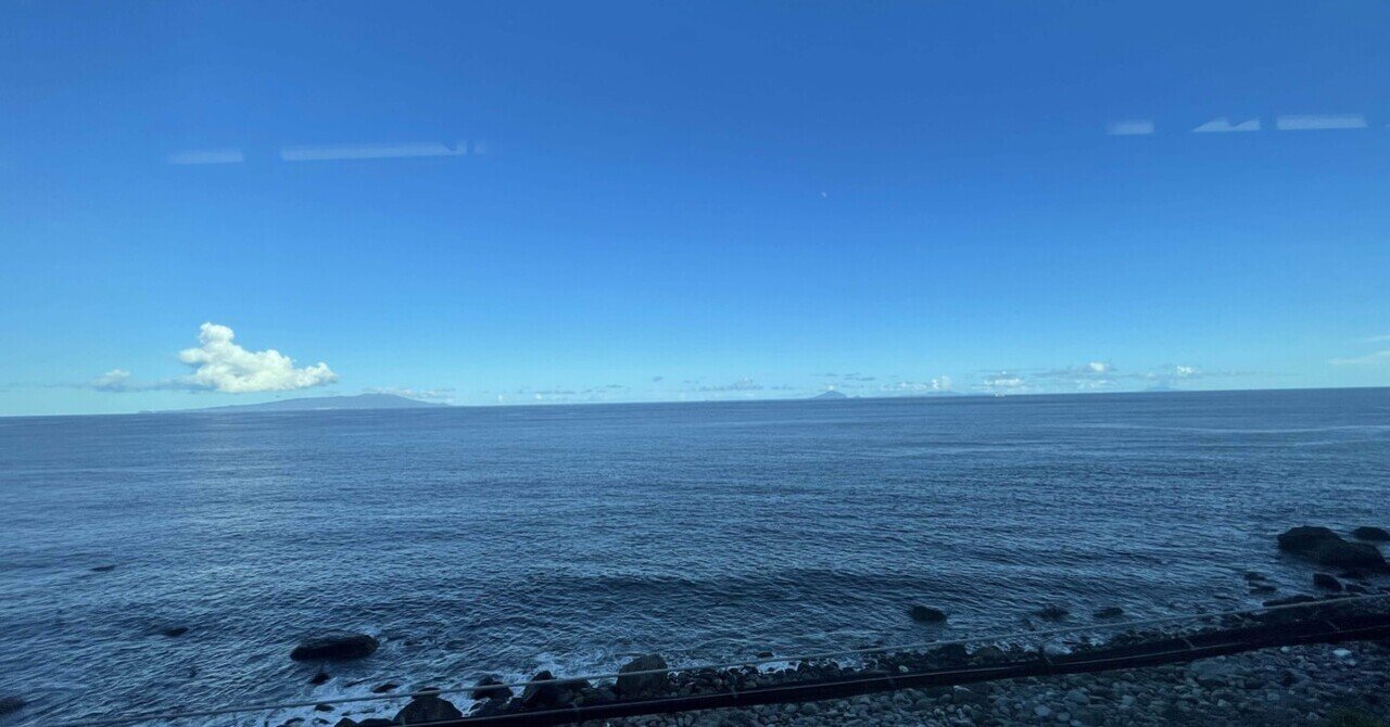 ションベンハウワー｜nakalan