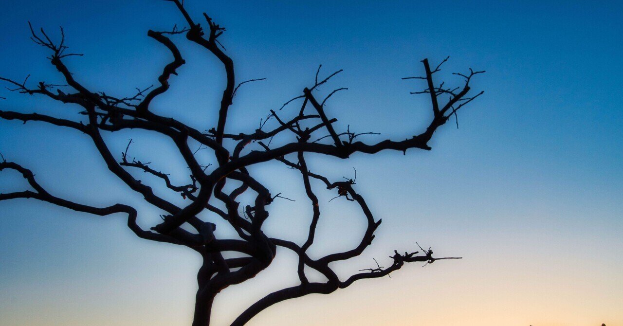 【短歌】冬を待つ｜Momoco