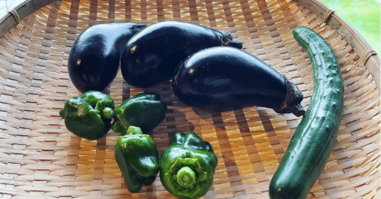 秋きゅうり21本、秋なす11本。｜plm_kurashi