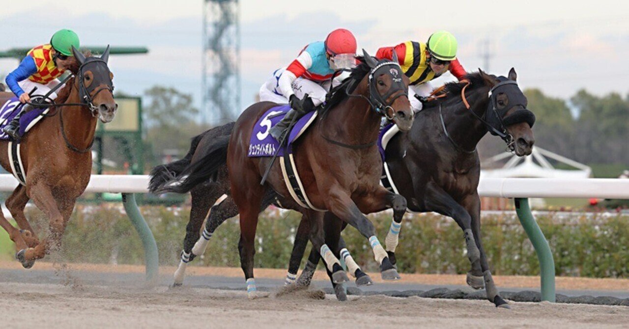 【2023 チャンピオンズC（G1）】徹底的に攻略データ篇｜Haya