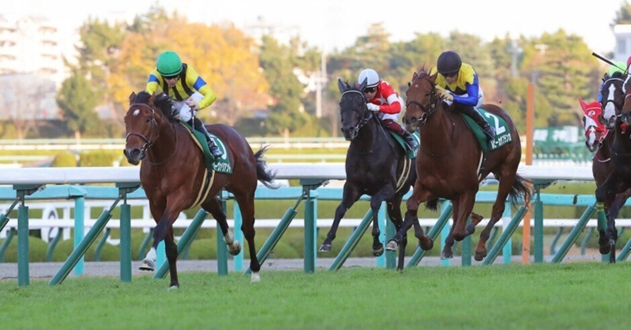 【2023 チャレンジカップ（G3）】徹底的に攻略データ篇｜Haya