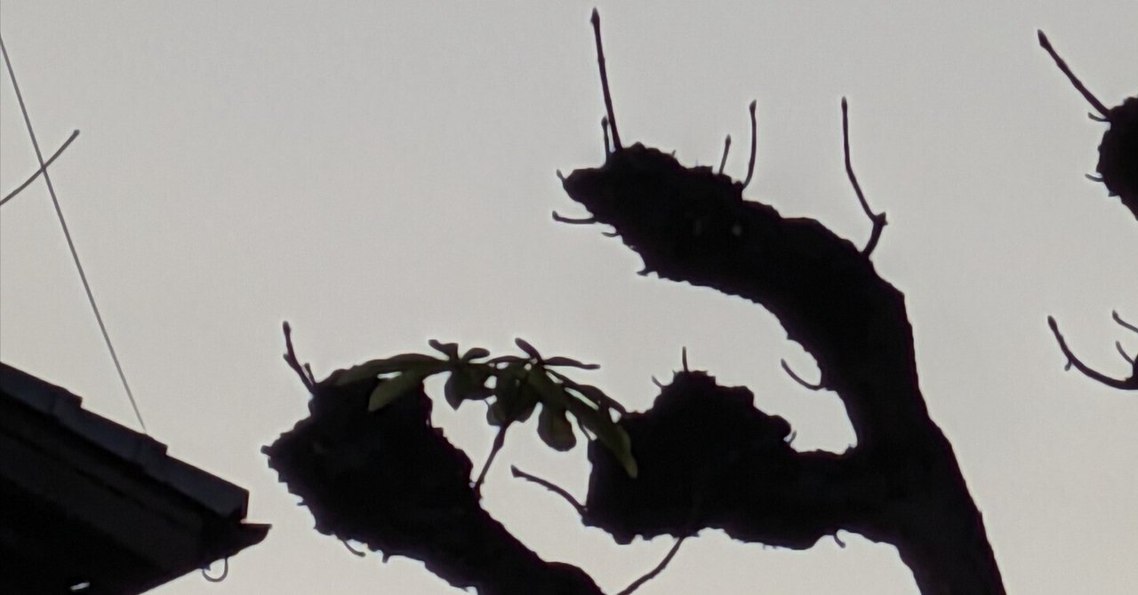 一枚の画像〜並び｜ichiro70