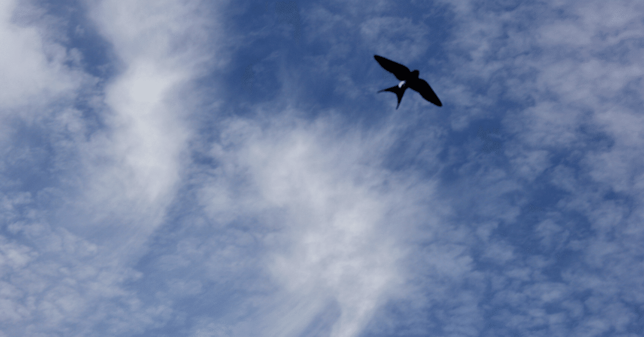 燕声水琴の如く降る院内ベンチにて｜Jun Ohta