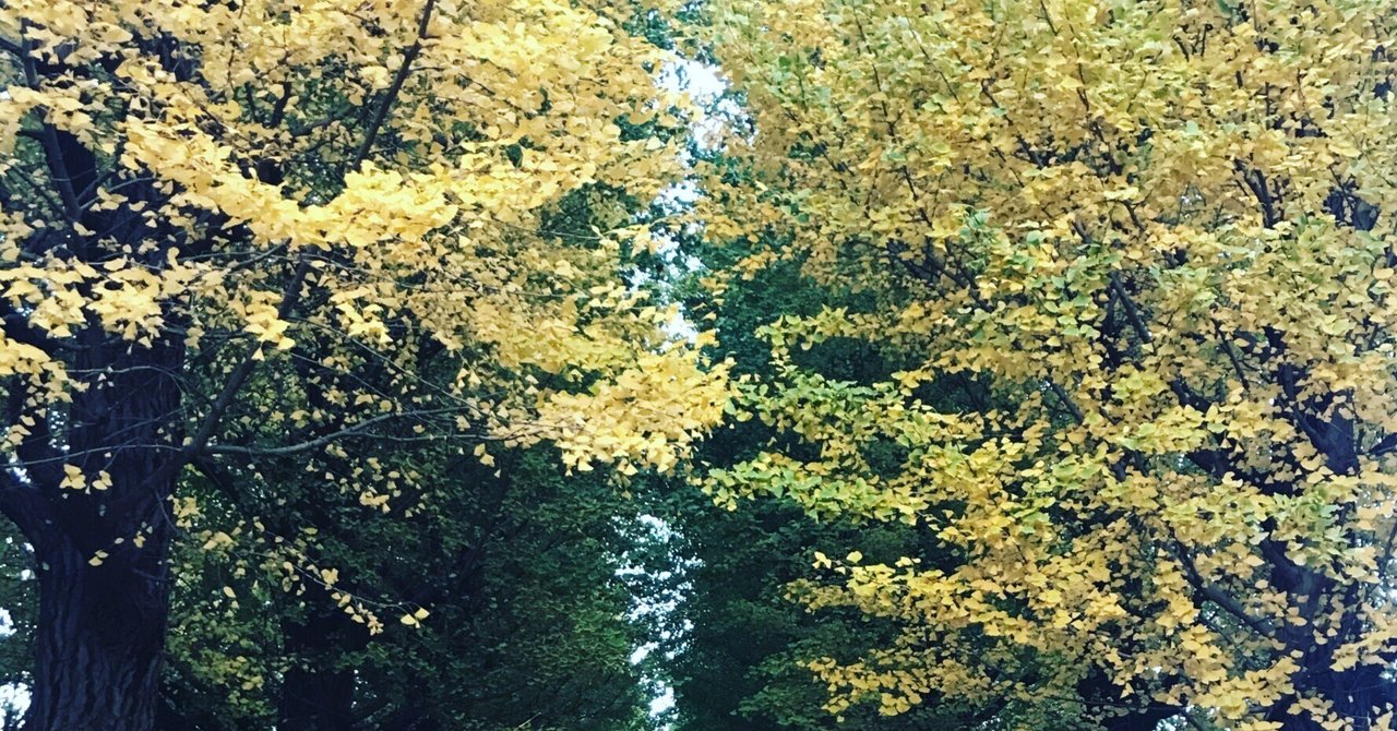 【句作_07】ほしさえて｜Mk_Hayashi