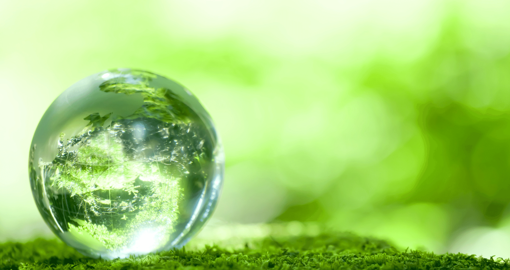 kotonoha -言の葉-｜note