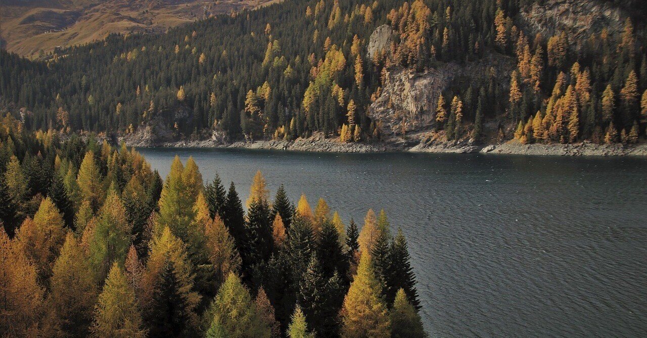 焦ってる時こそ冷静に。｜RYuJi / 株式投資で夢を叶える人