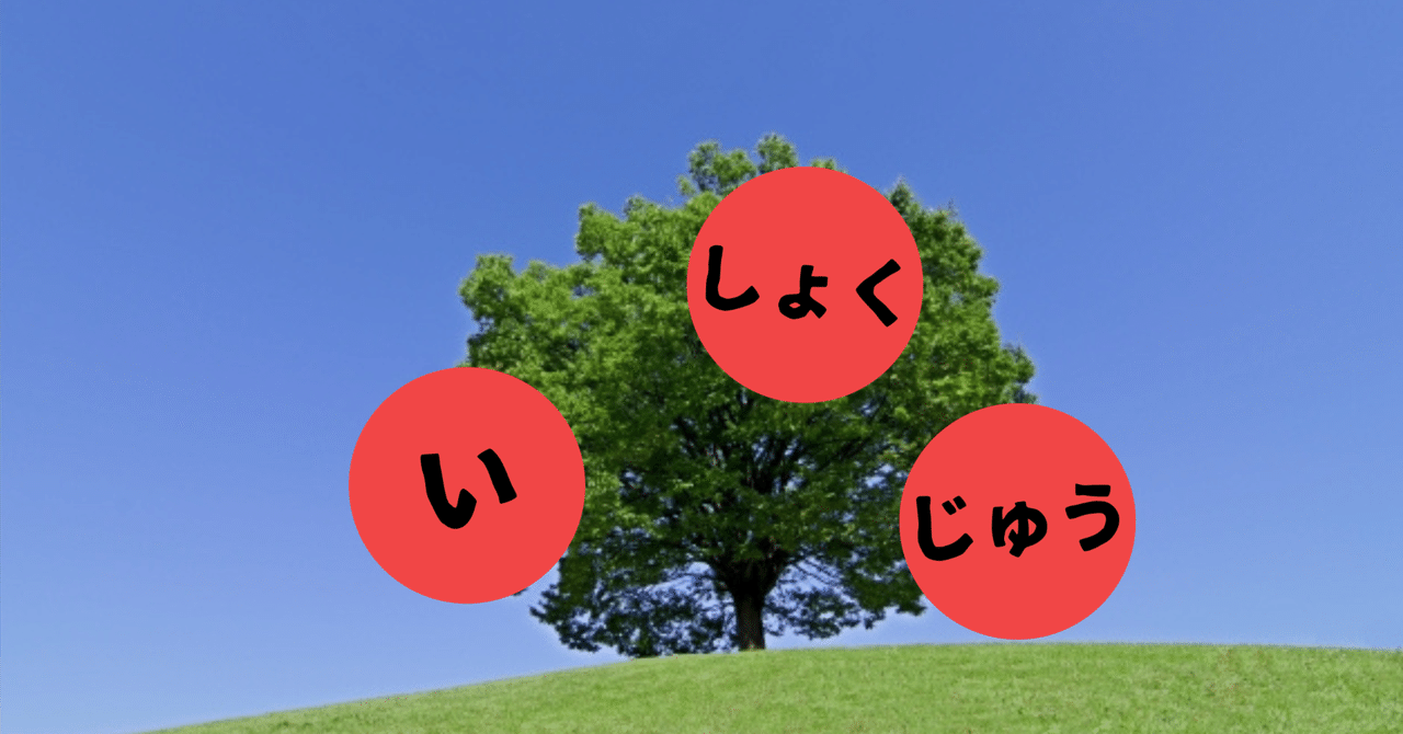 わたしを満たす、「い・しょく・じゅう」｜mayuko. itoi