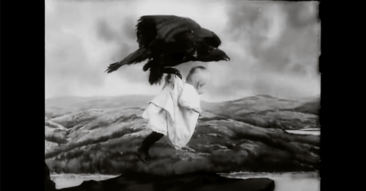 Diary_11292023｜Koji Shibuya