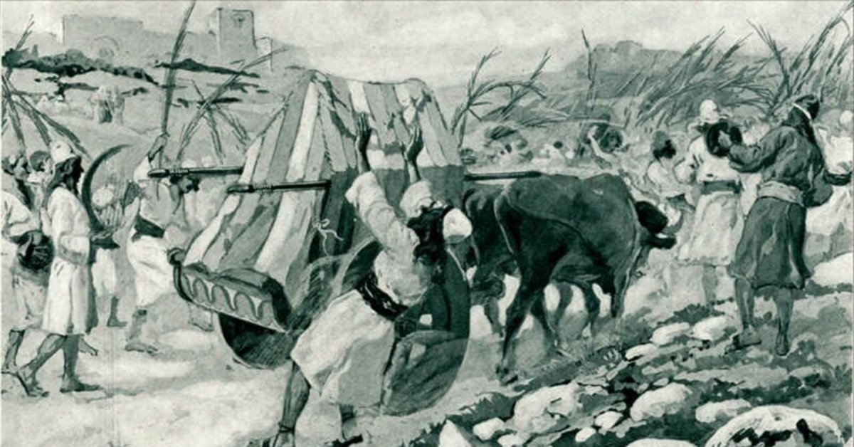 契約の箱を触っただけで死ぬの？ 聖書考察①｜石田平和 Heiwa Ishida