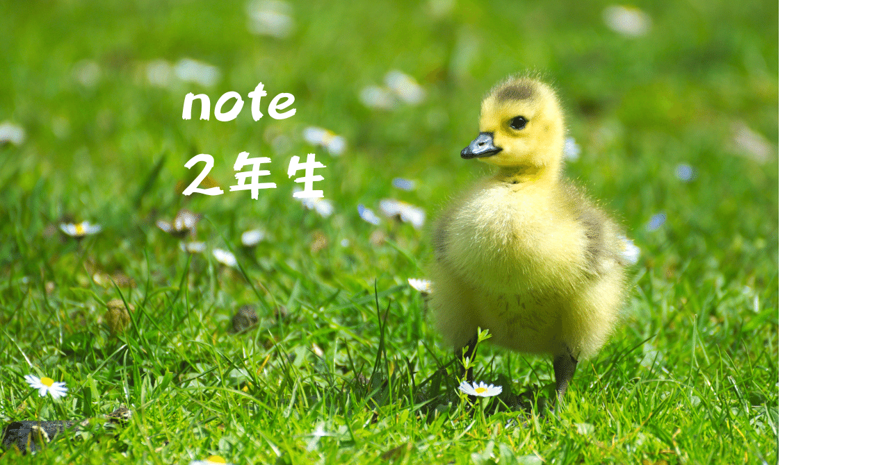 note 2年生｜パラソル